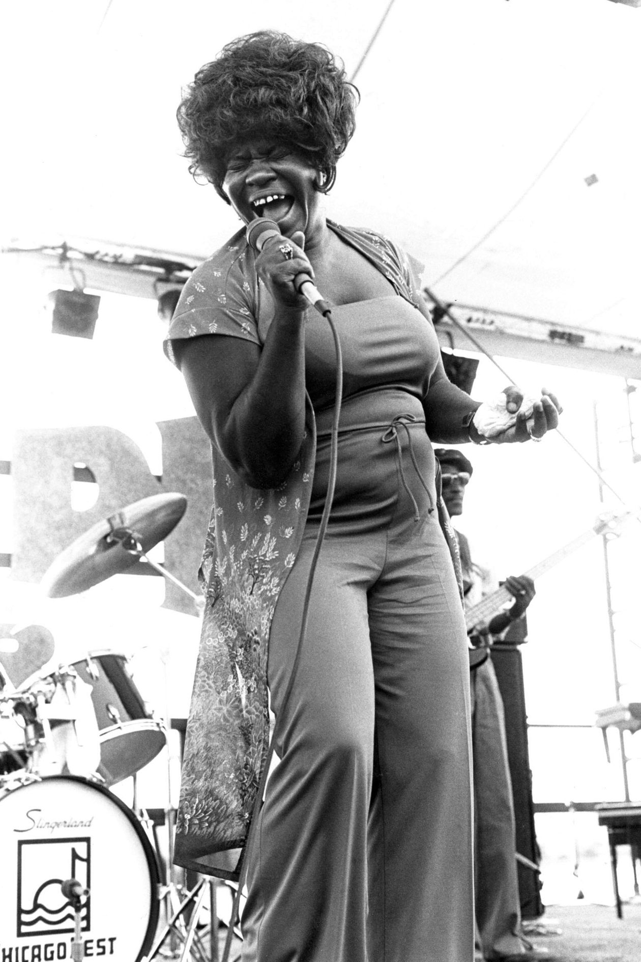 Alligator Records Celebrates 50th